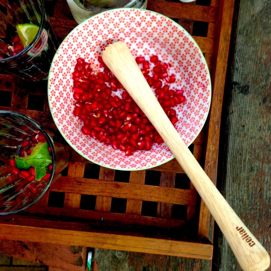 Refreshing Pomegranate Mojito Mocktail Recipe – The Back Yard Lemon Tree