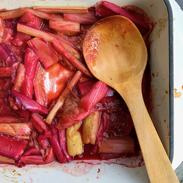 Rhubarb Innovation: Savory and Sweet Roasted Recipe | The Backyard ...