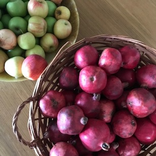 The Back Yard Lemon Tree – Vegetarian feast food for family and friends